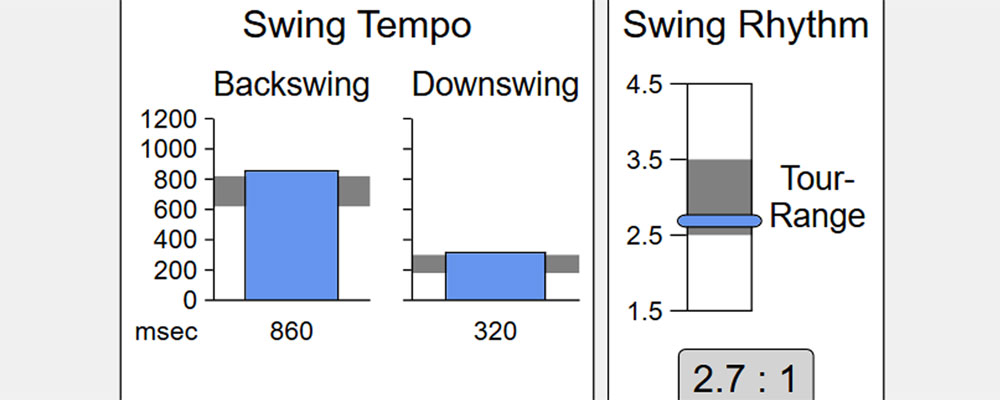 SAM BalanceLab Features – Science & Motion Sports